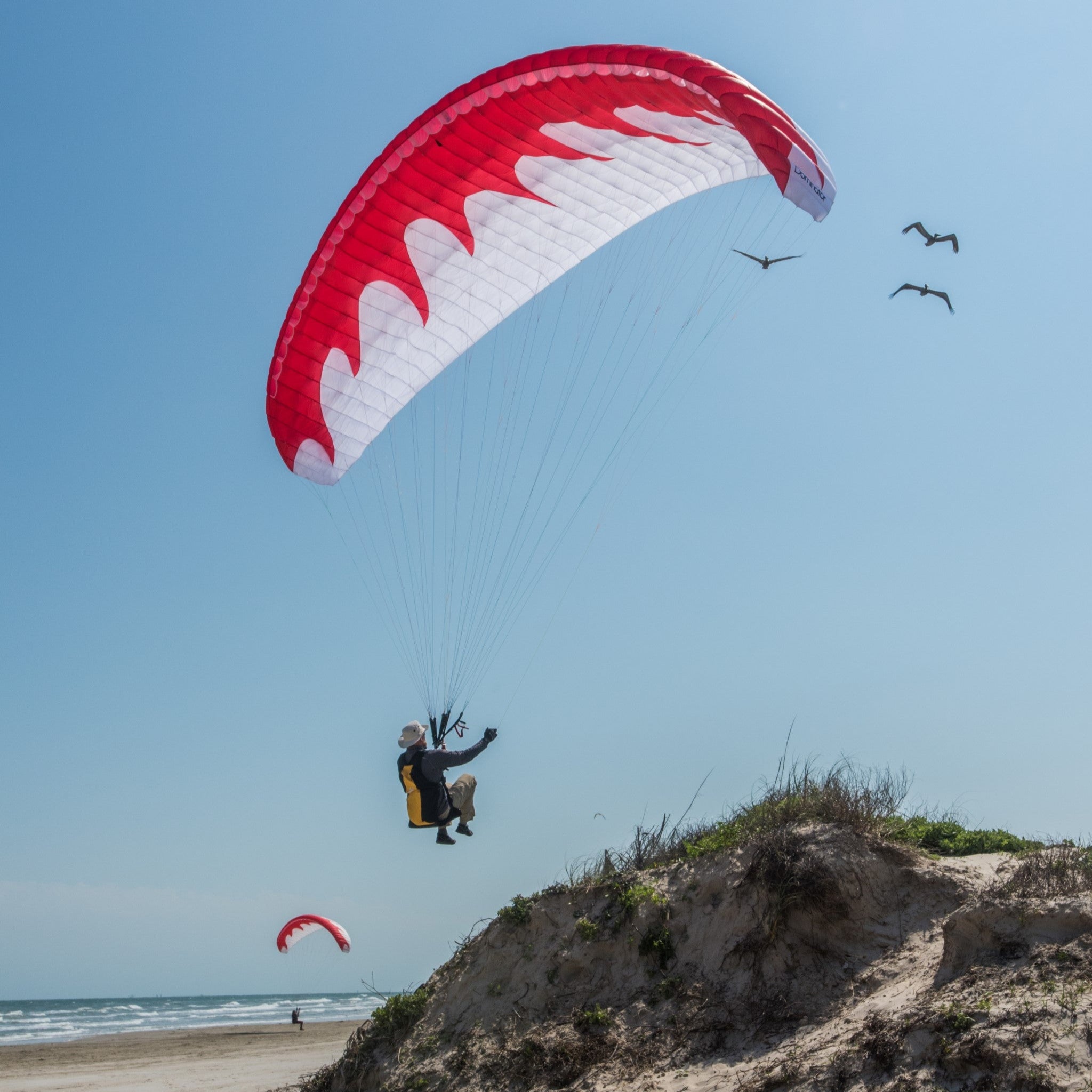 Dominator Paraglider (AFNOR Standard/EN-A Comparable) – Paramotor-Pro